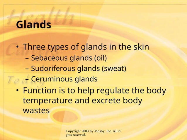 Nursing Integumentary System & Disorders.ppt