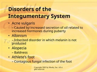 Nursing Integumentary System & Disorders.ppt