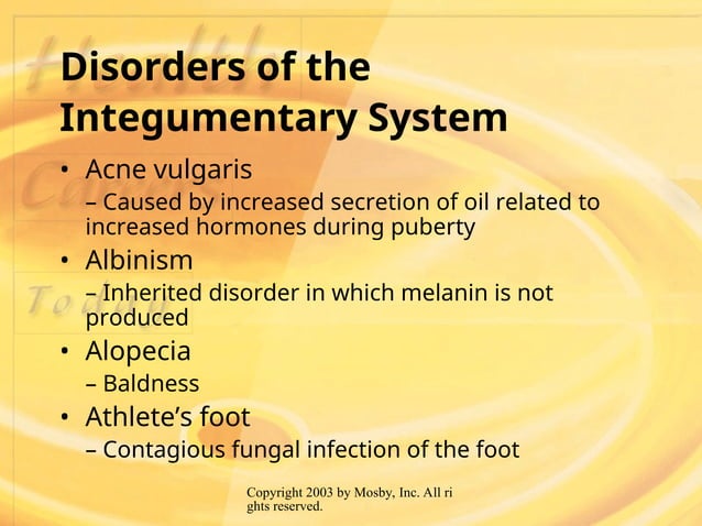 Nursing Integumentary System & Disorders.ppt