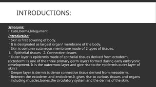 Integumentary system L3,4.pptx skin anatomy | PPTX