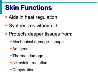 Integumentary System Notes | PPT