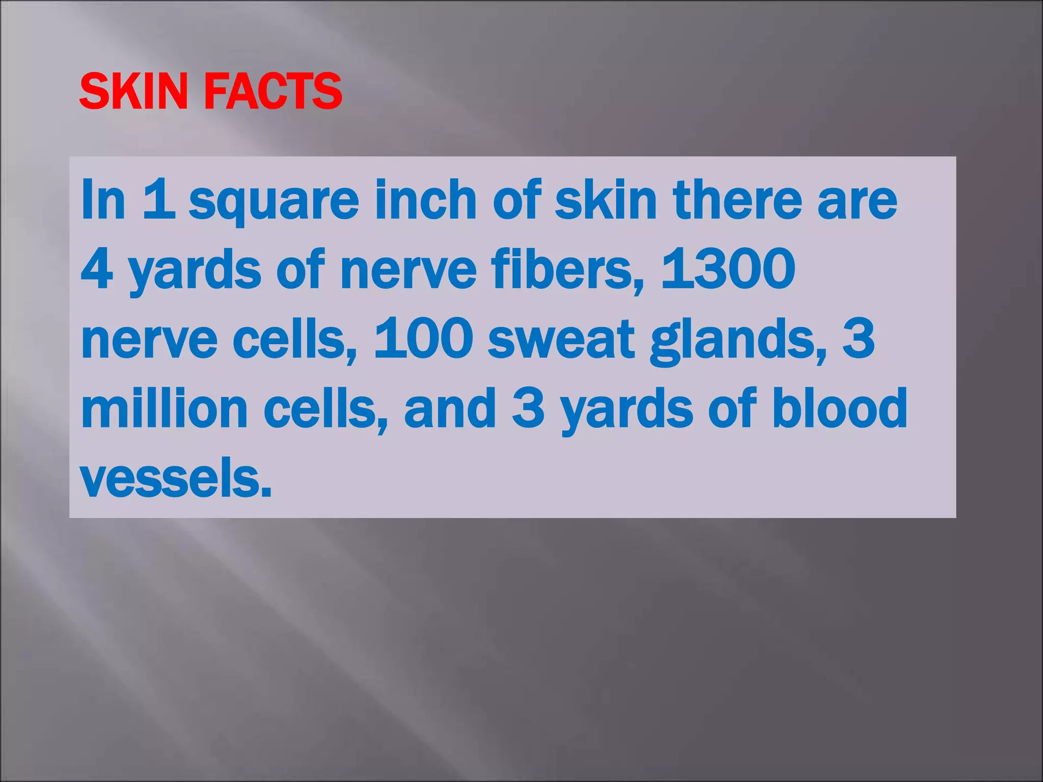 Integumentary system notes part 1 | PPT