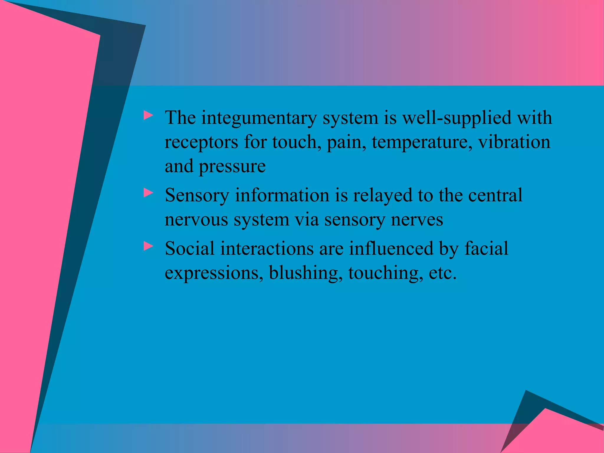 Integumentary system ppt. | PPT