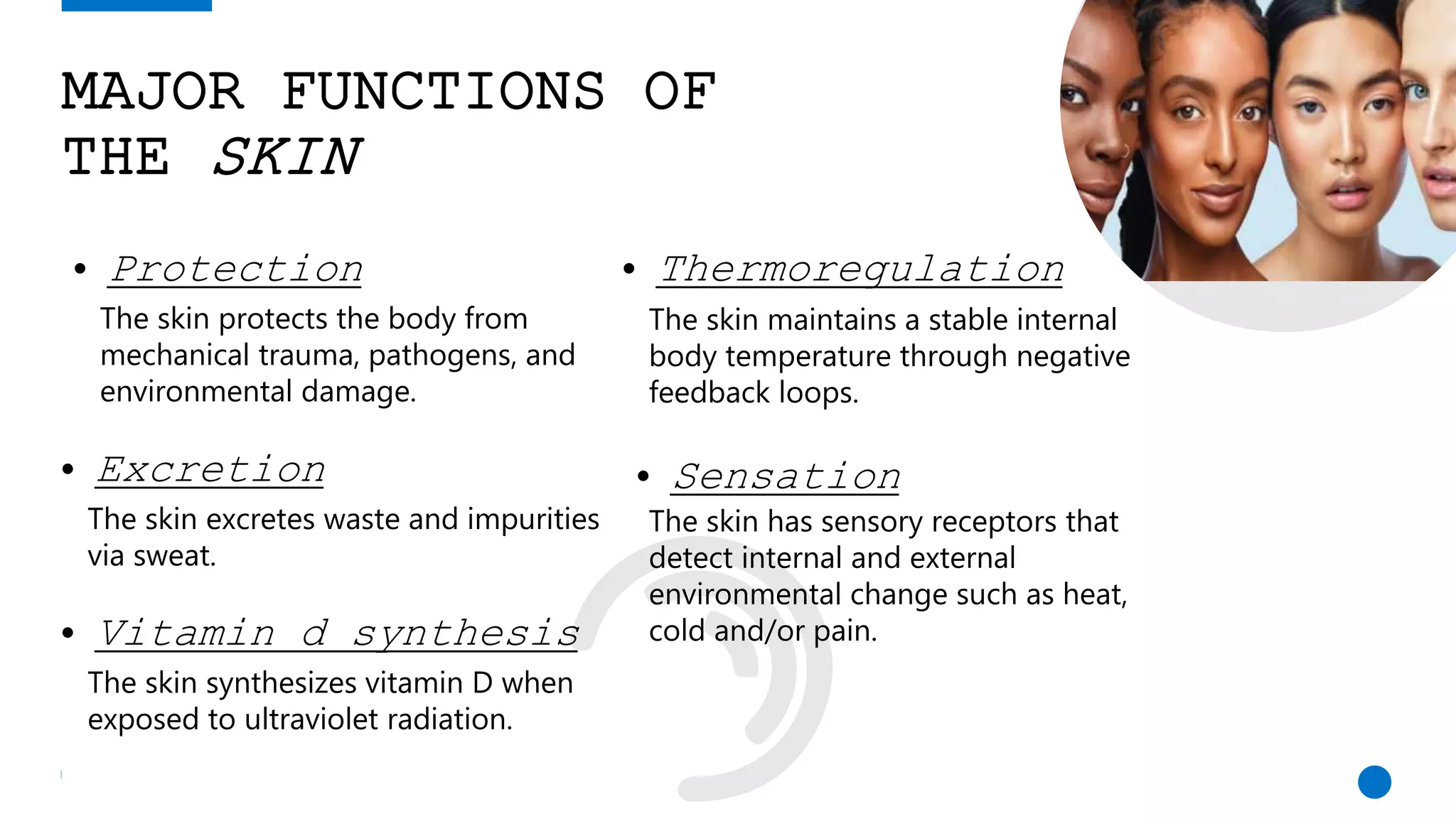 Integumentary system prep.pptx