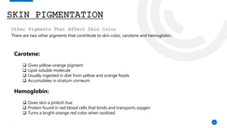 Integumentary system prep.pptx