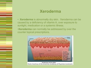 Integumentary system presentation | PPT