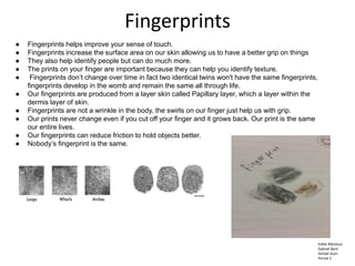 Integumentary system student reports | PPTX