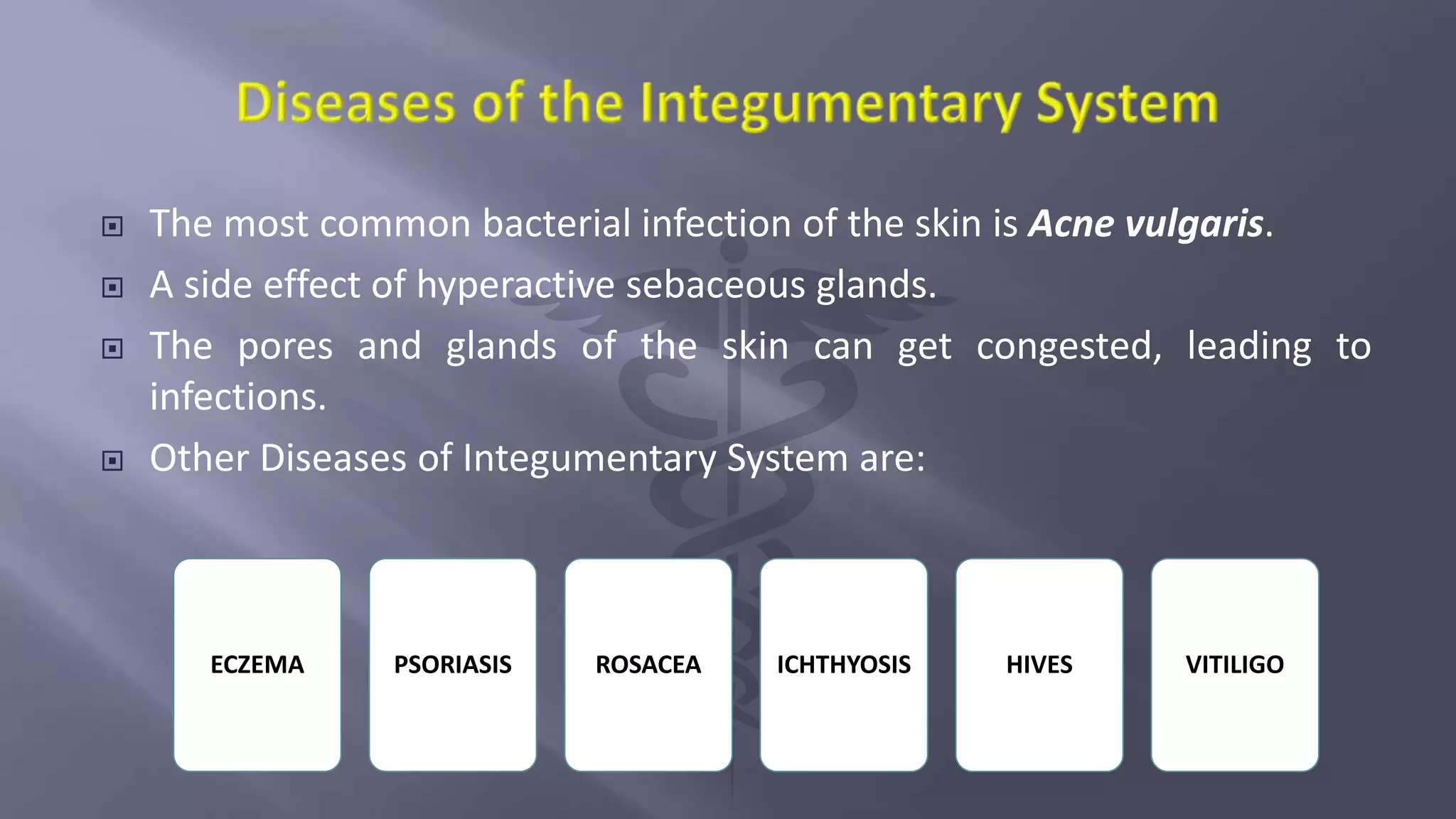 Integumentary System | PPTX