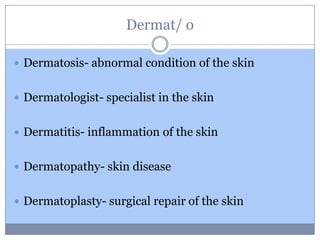 Integumentary system slide show | PPT