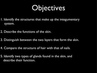 Integumentary system (student version) | PPT