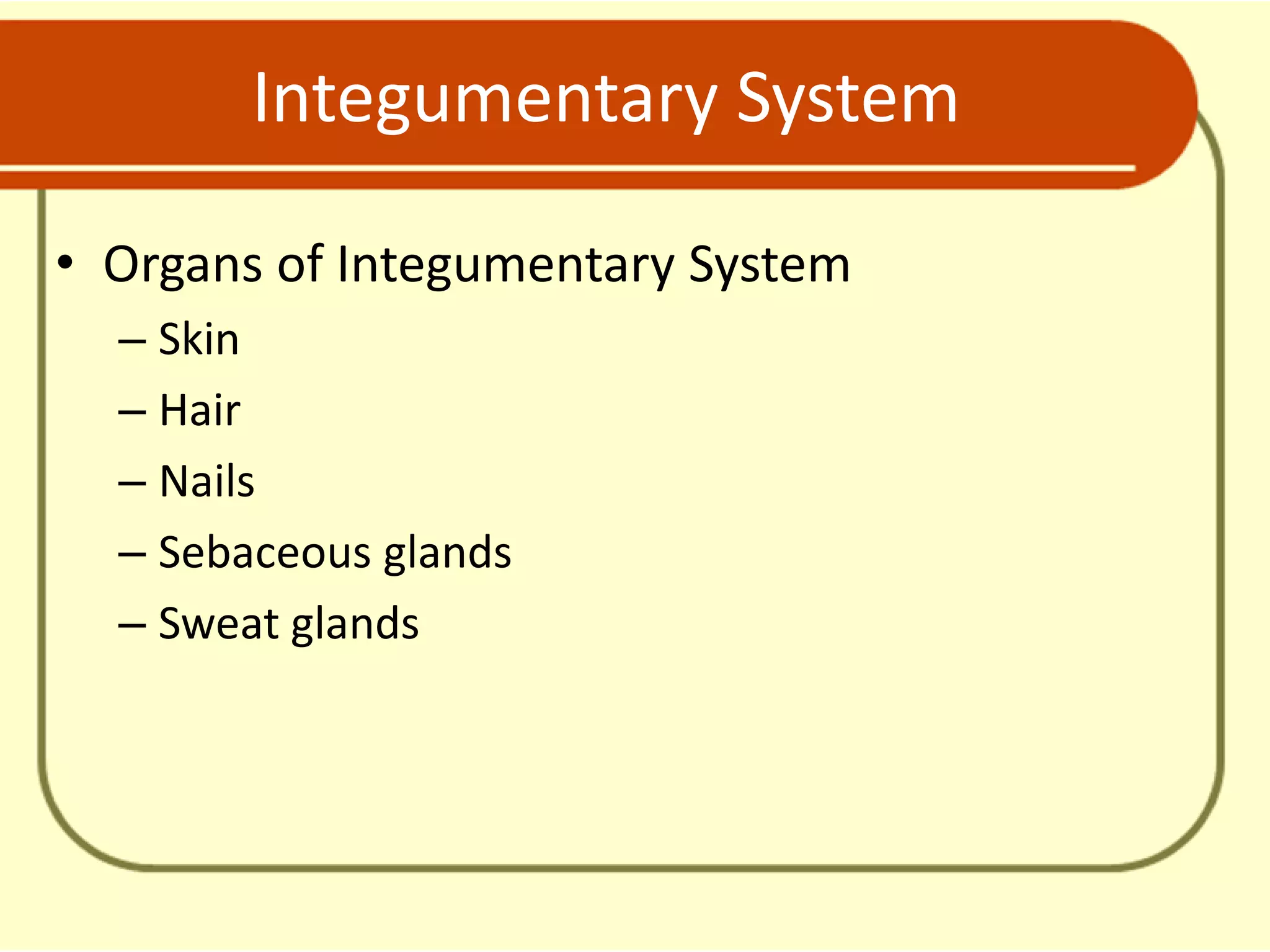 integumentary system terminology.pdf