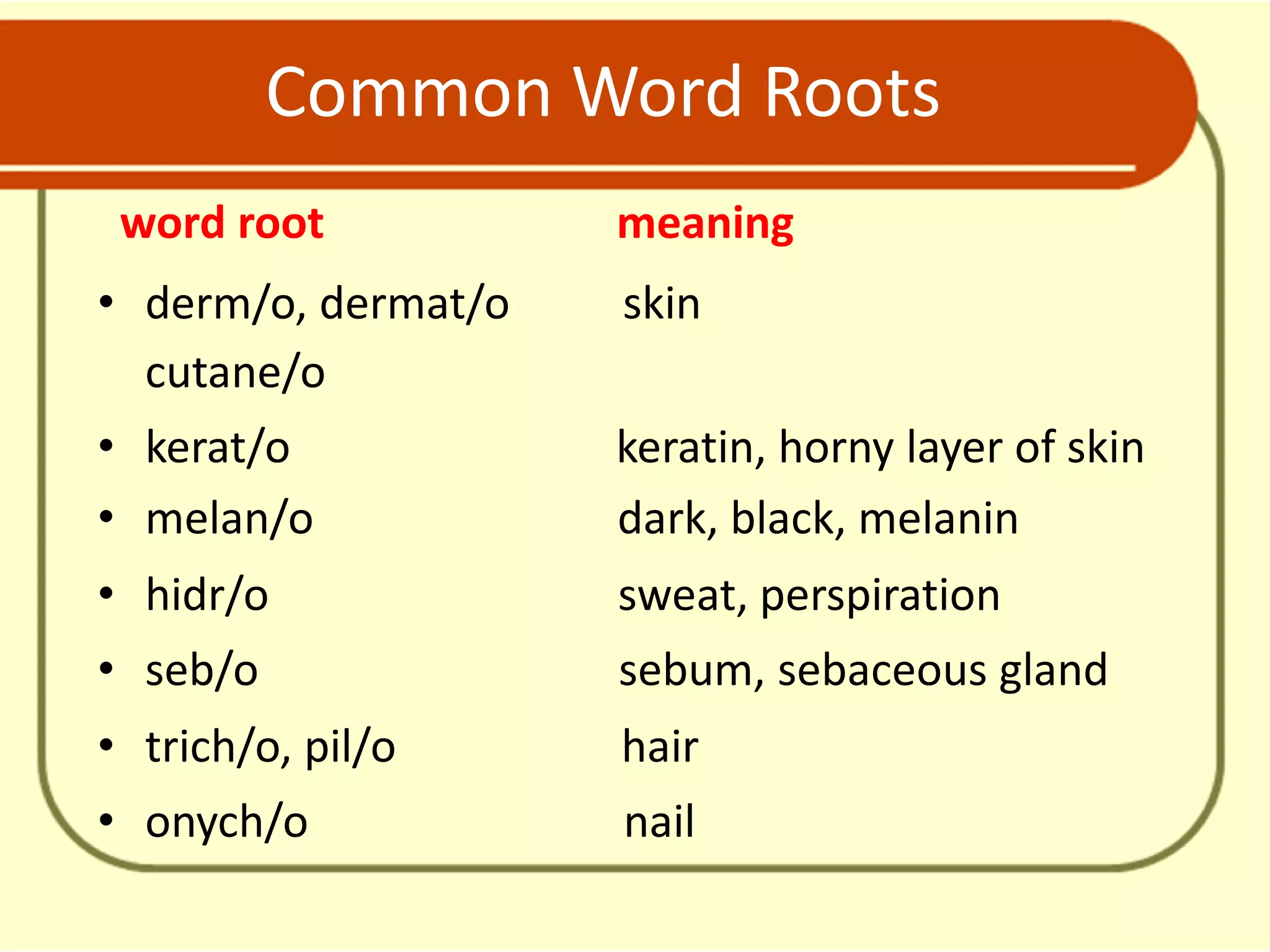 integumentary system terminology.pdf
