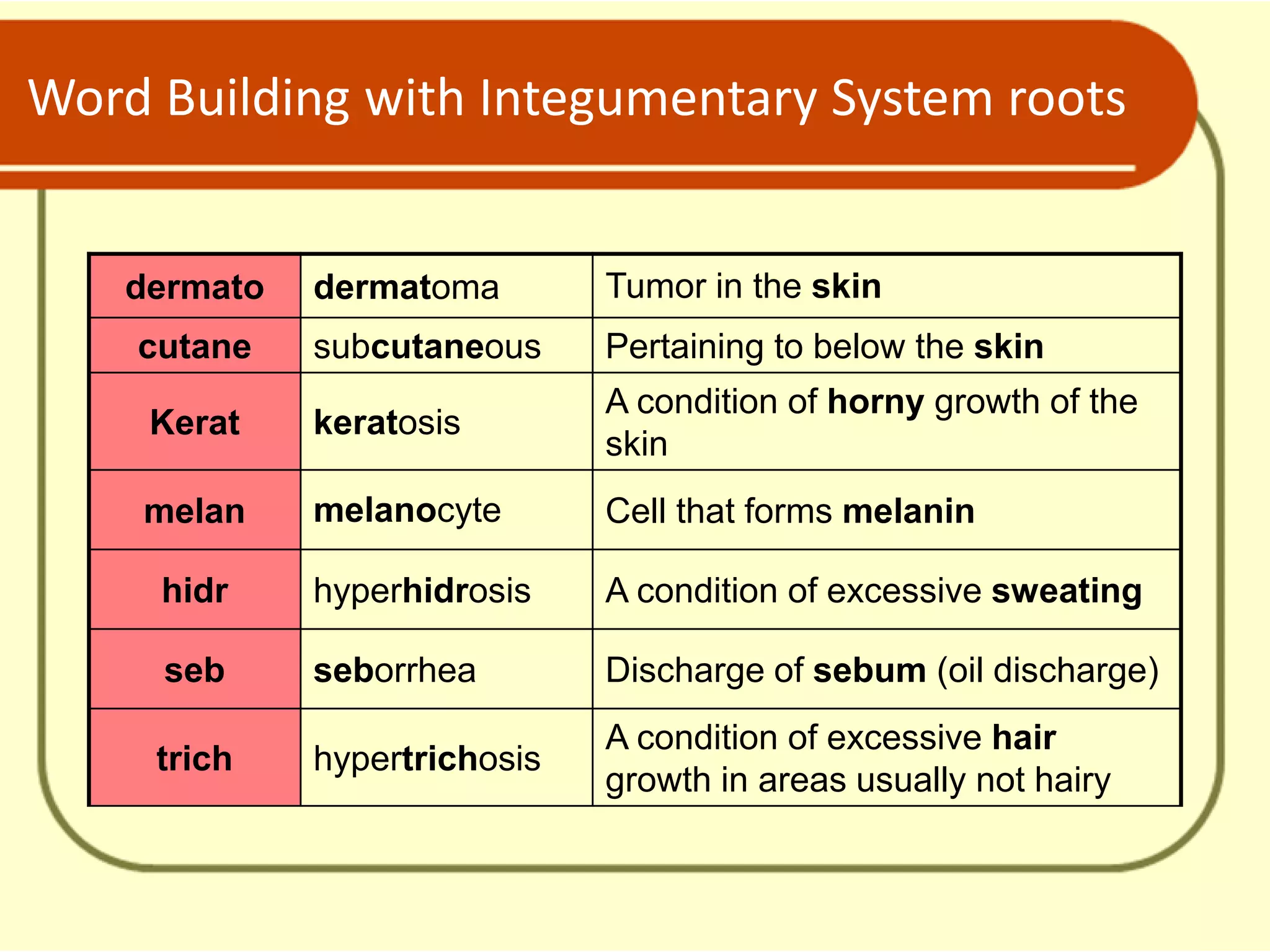 integumentary system terminology.pdf