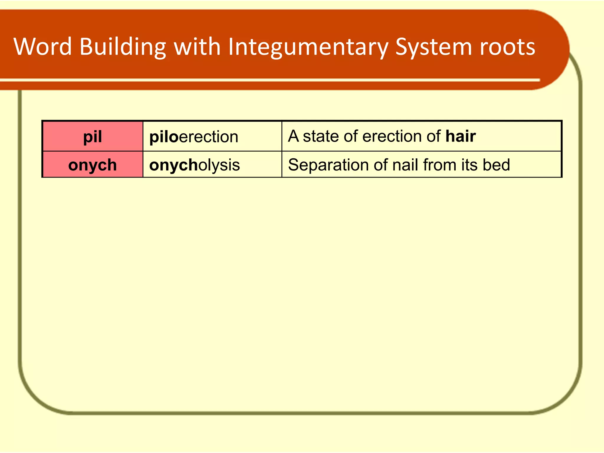 integumentary system terminology.pdf