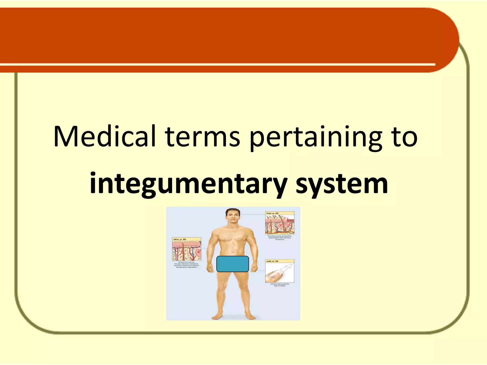 integumentary system terminology.pdf