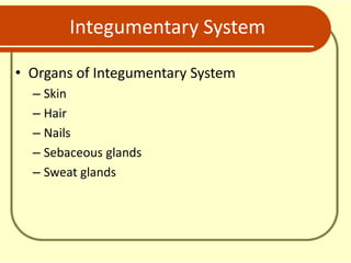 integumentary system terminology.pdf