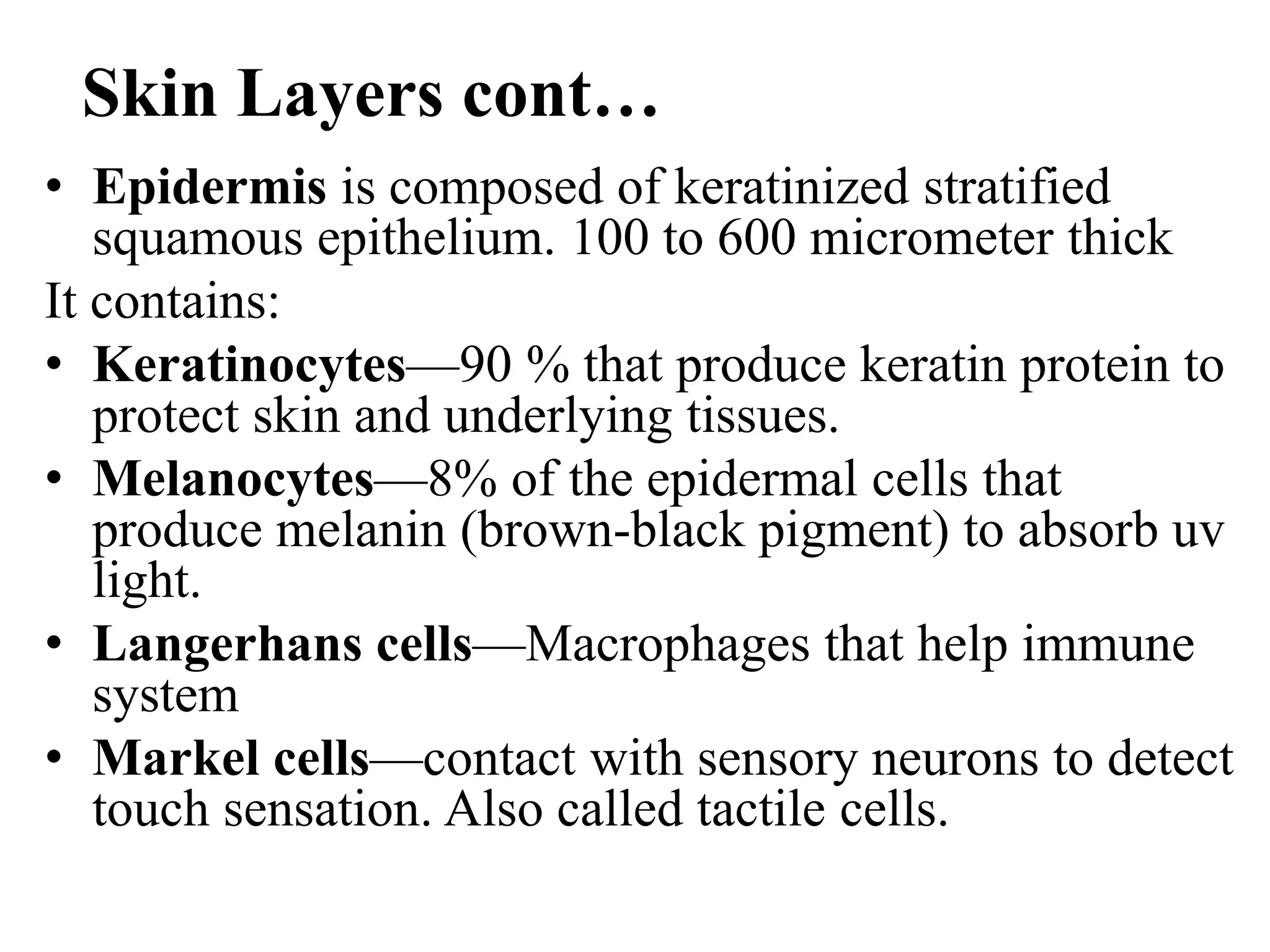 Integumentary System (unit VII).pptx