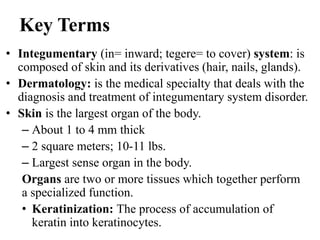 Integumentary System (unit VII).pptx