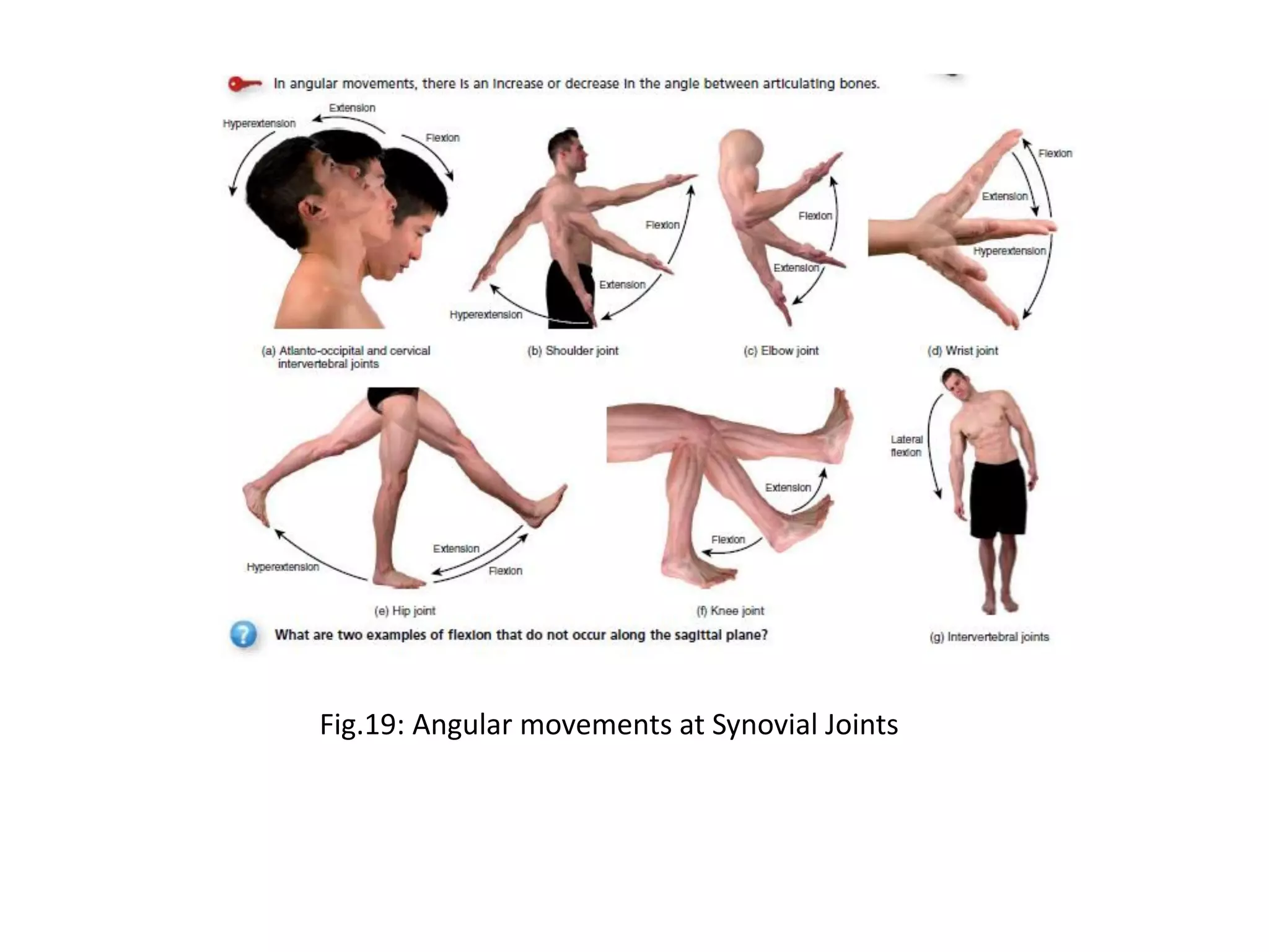 Integumentary systSkeletalsyst andjoint .pdf