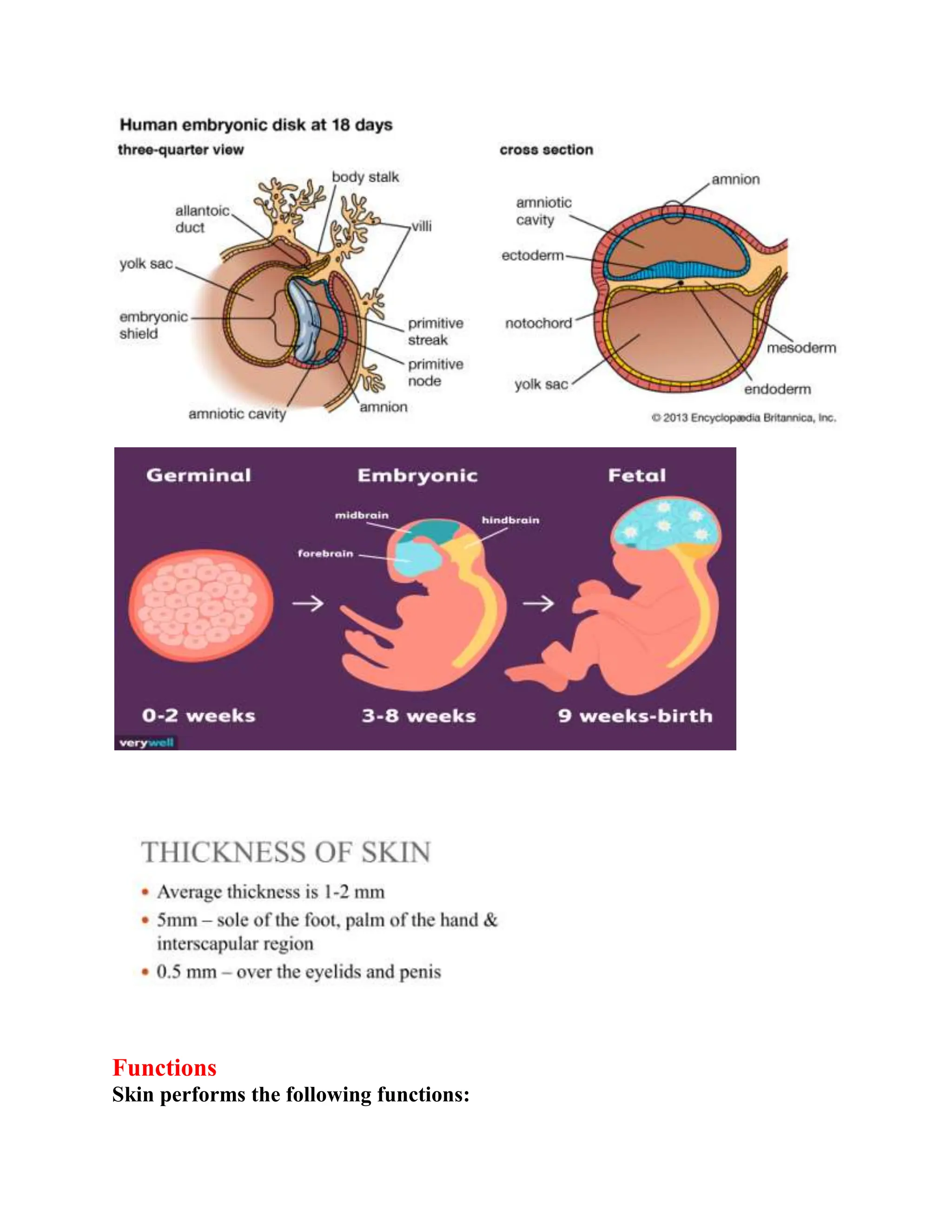 Integumentary sytem .pdf