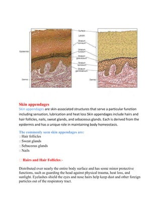 Integumentary sytem .pdf