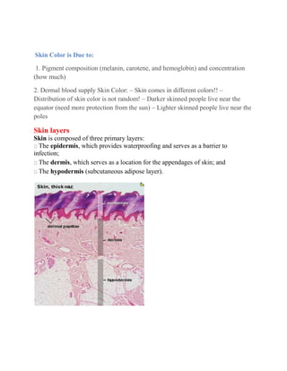 Integumentary sytem .pdf