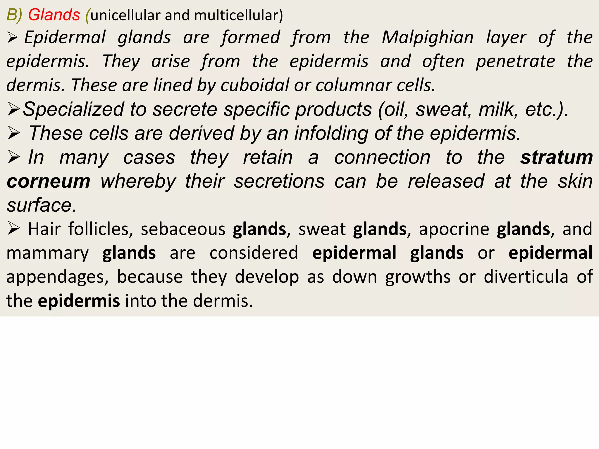 Integument of vertebrates | PPTX