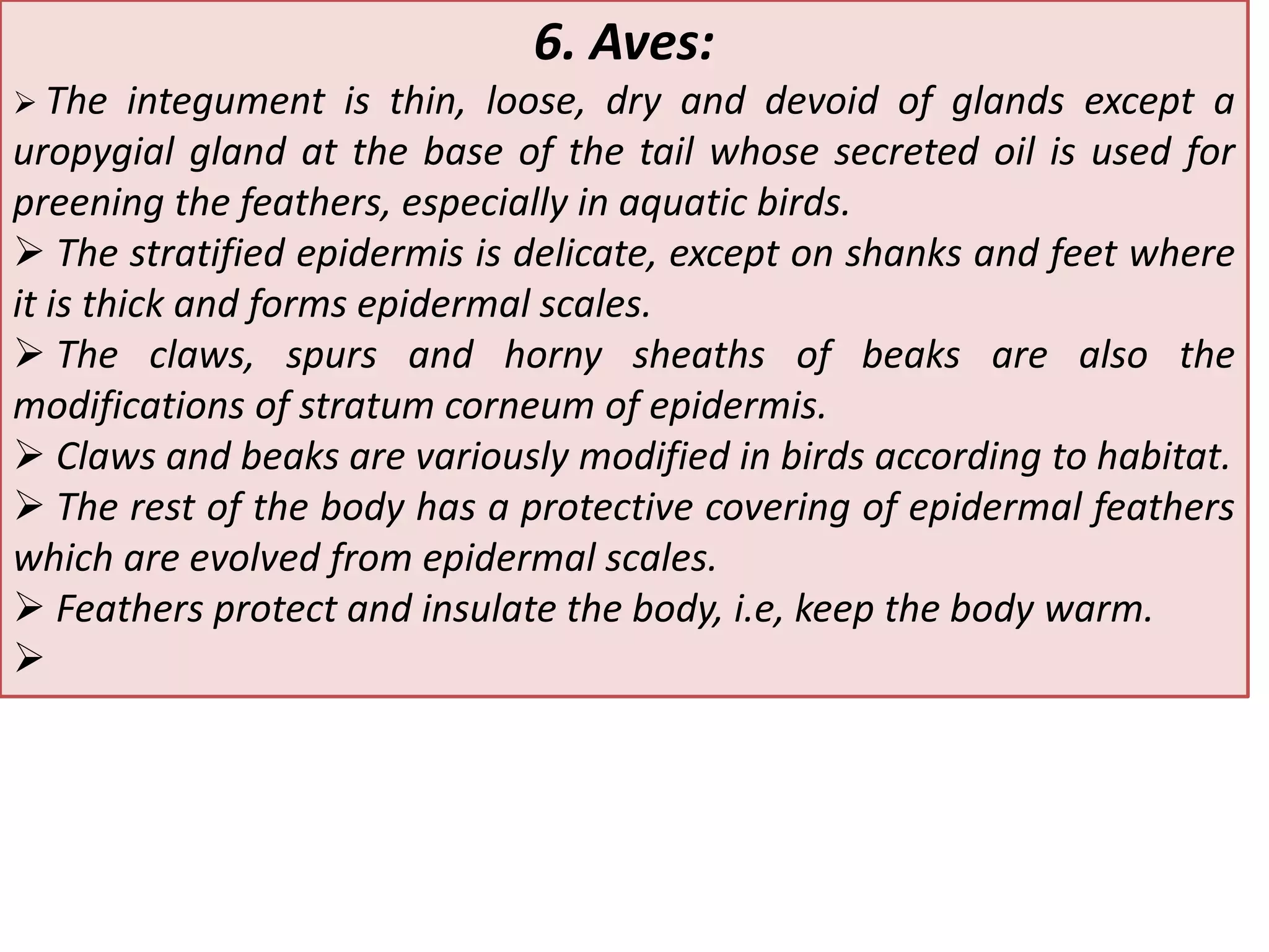 Integument of vertebrates | PPTX