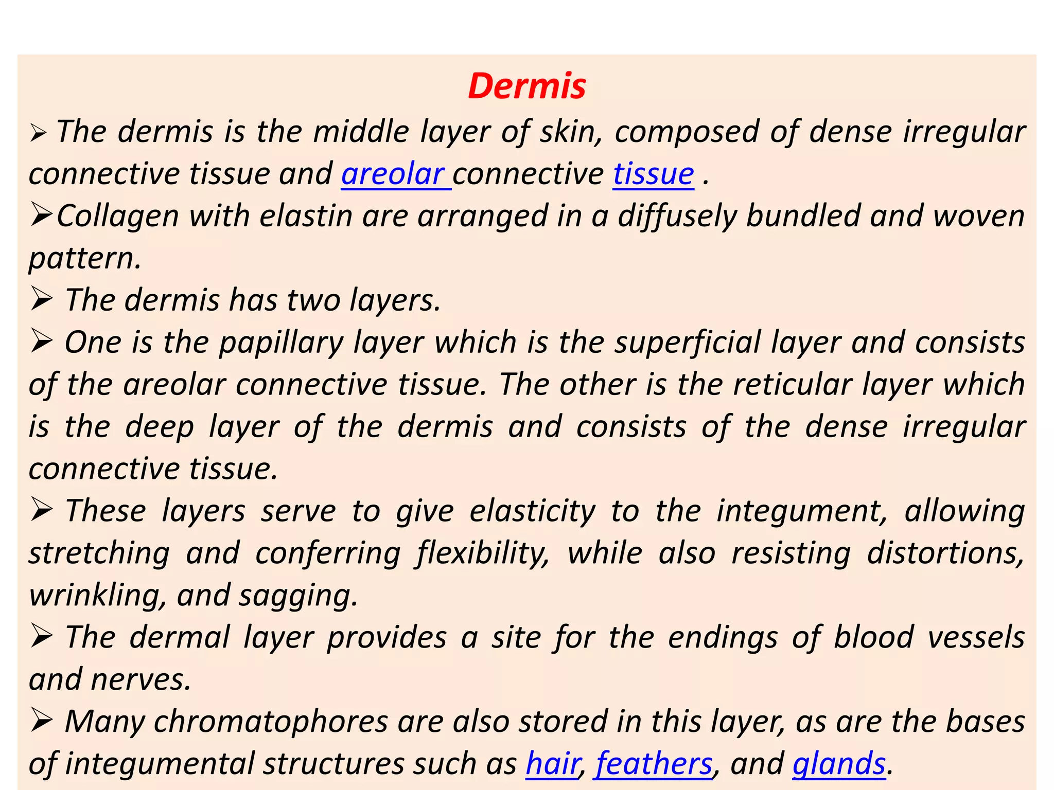 Integument of vertebrates | PPTX