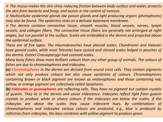 Integument of vertebrates | PPTX
