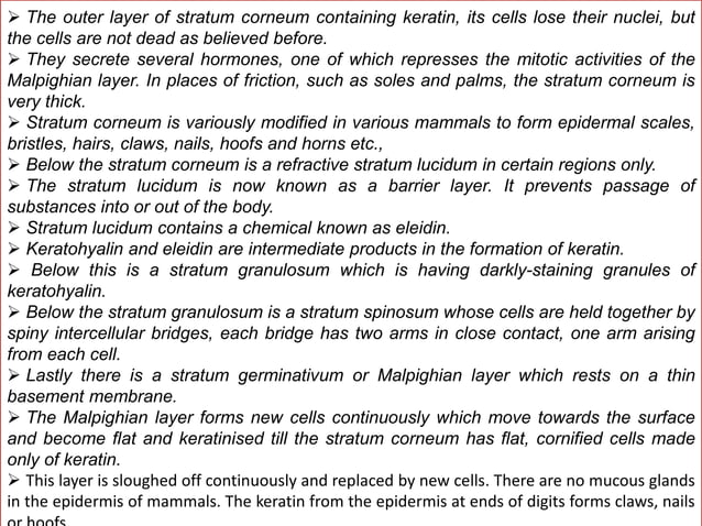Integument of vertebrates | PPTX