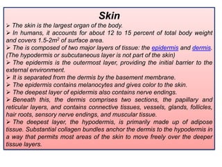 Integument of vertebrates | PPTX