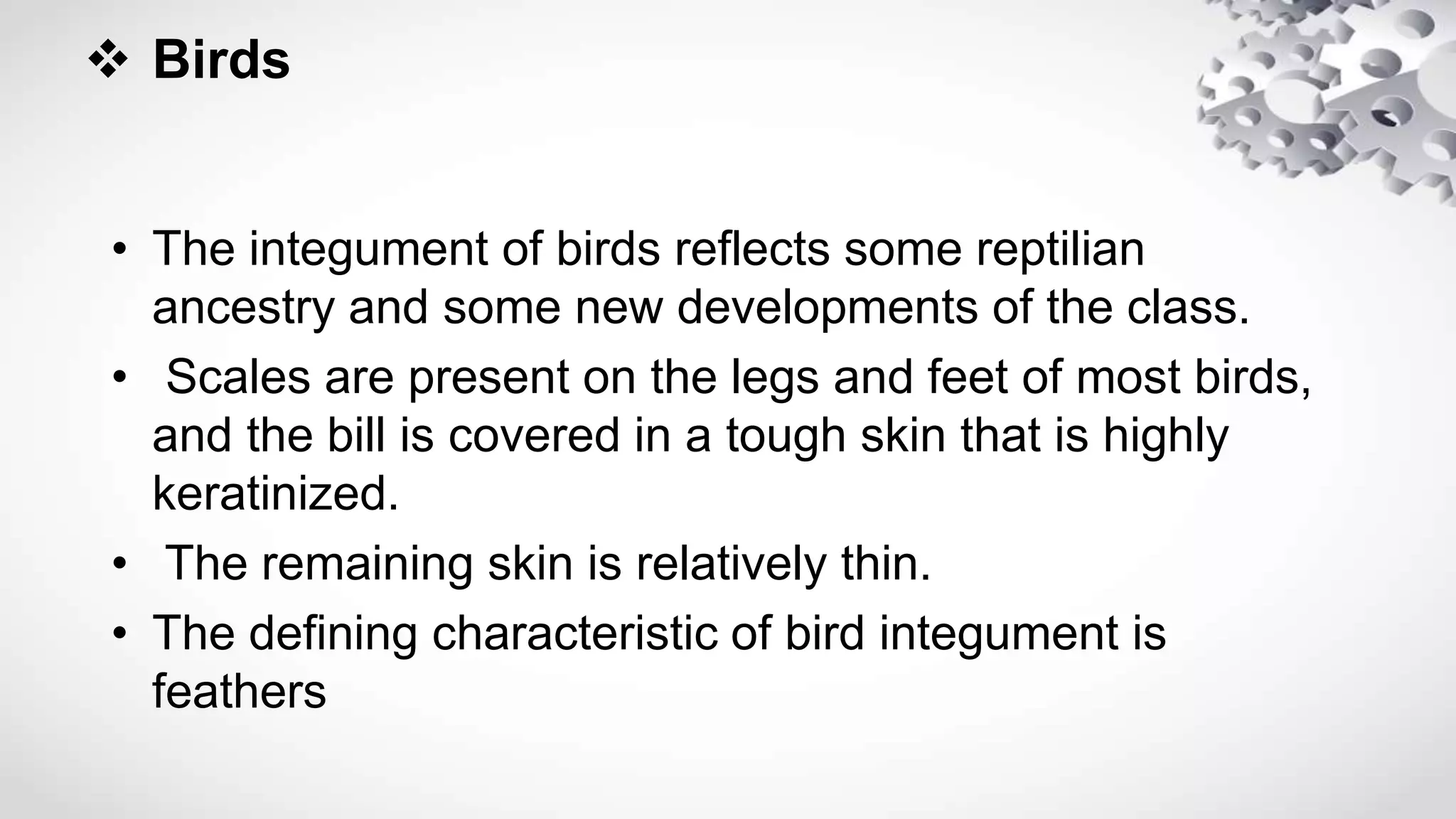 Integument | PPTX