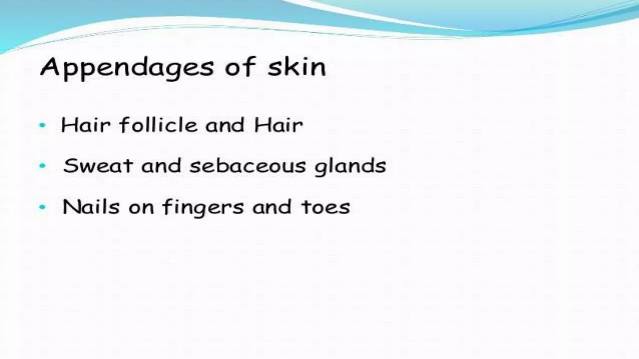 Integumentry system:skin,epidermis,dermis,subcutaneous tissue ...