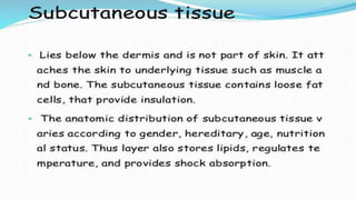 Integumentry system:skin,epidermis,dermis,subcutaneous tissue ...