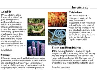 Integumnetary system | PPT