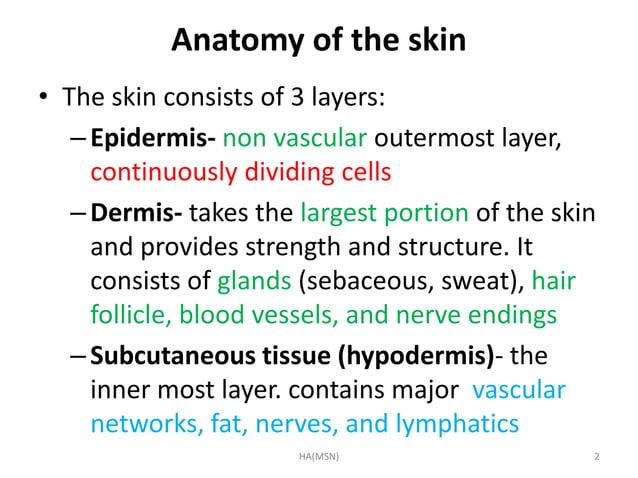 Integumentary Disorders Presentation.ppt