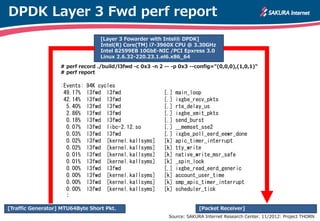 Disruptive IP Networking with Intel DPDK on Linux | PDF | Operating Systems | Computer Software ...