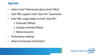 Unleash performance through parallelism - Intel® Math Kernel Library | PDF