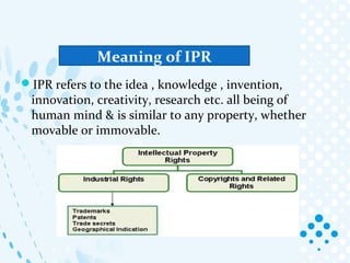 Intelectual Property Rights | PPT