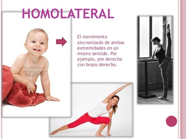 Movimientos (Inteligencia Corporal)