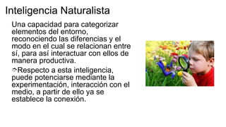 Inteligencias múltiples | PDF
