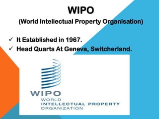 Intellactual property rights | PPT