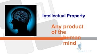 Intellectual Property Rights Overview.pptx
