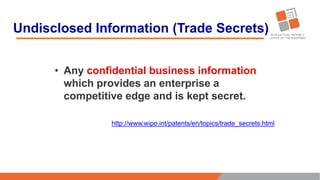 Intellectual Property Rights Overview.pptx