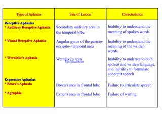 Intellectual functions (memory , speech) | PPTX