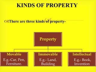 Intellectual property right | PPTX