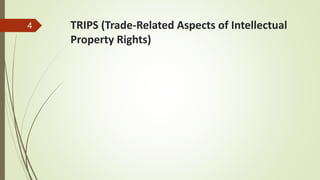 Intellectual property right | PPTX