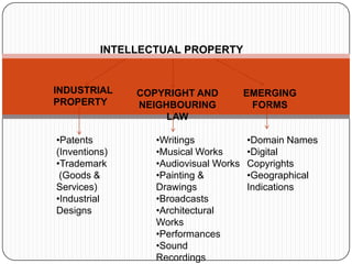 Intellectual property rights | PPTX