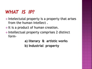 Intellectual property rights | PPTX
